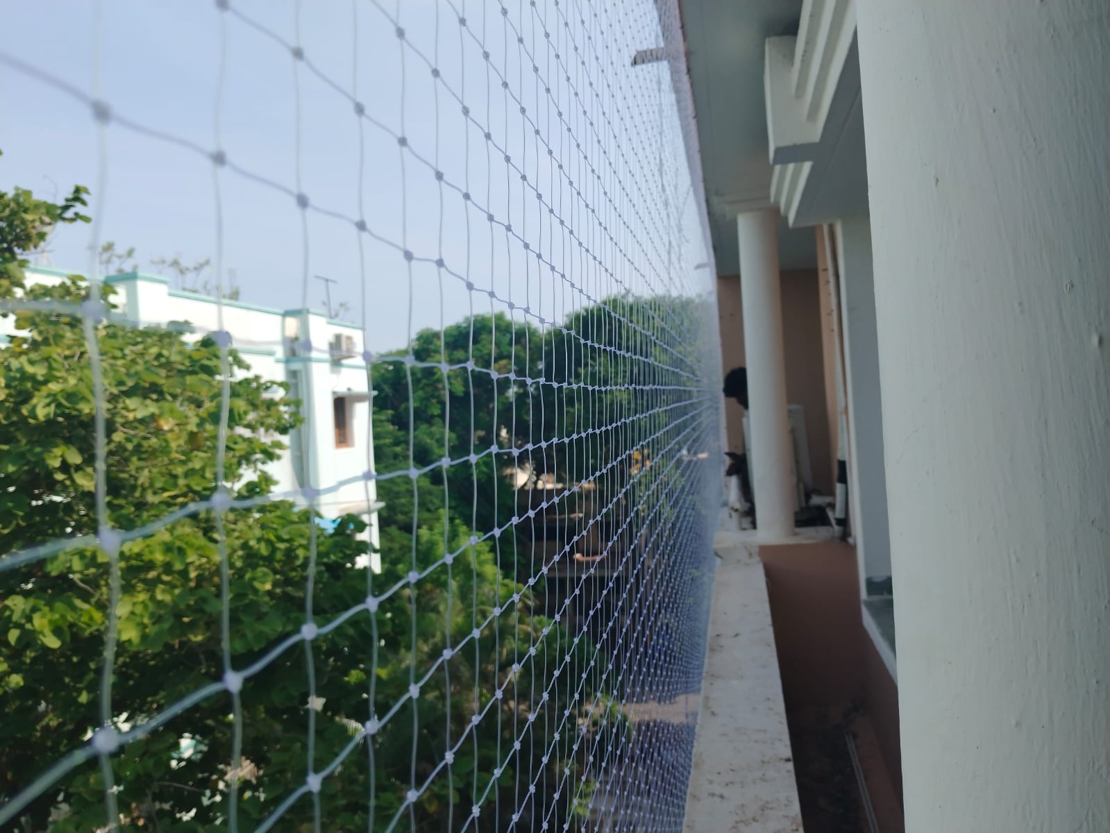 Anti Bird Net For Balcony - Siri Safety Nets & Bird Net Service ...